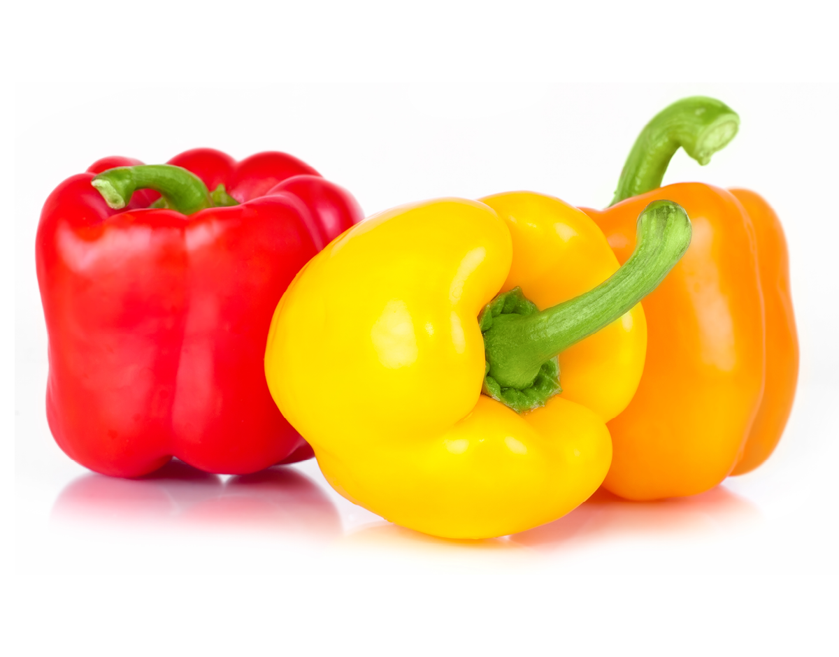 Peppers - Export of fruits and vegetables | Ankor Israel